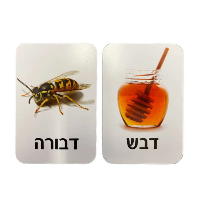 Honey-Themed Hebrew Flash Cards – Set of 24 (12 Pairs) | Jewish Art And ...